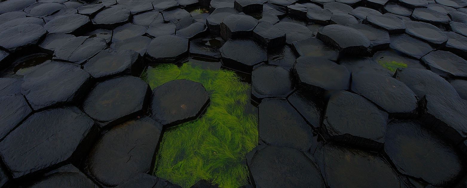 Causeway Capital Management